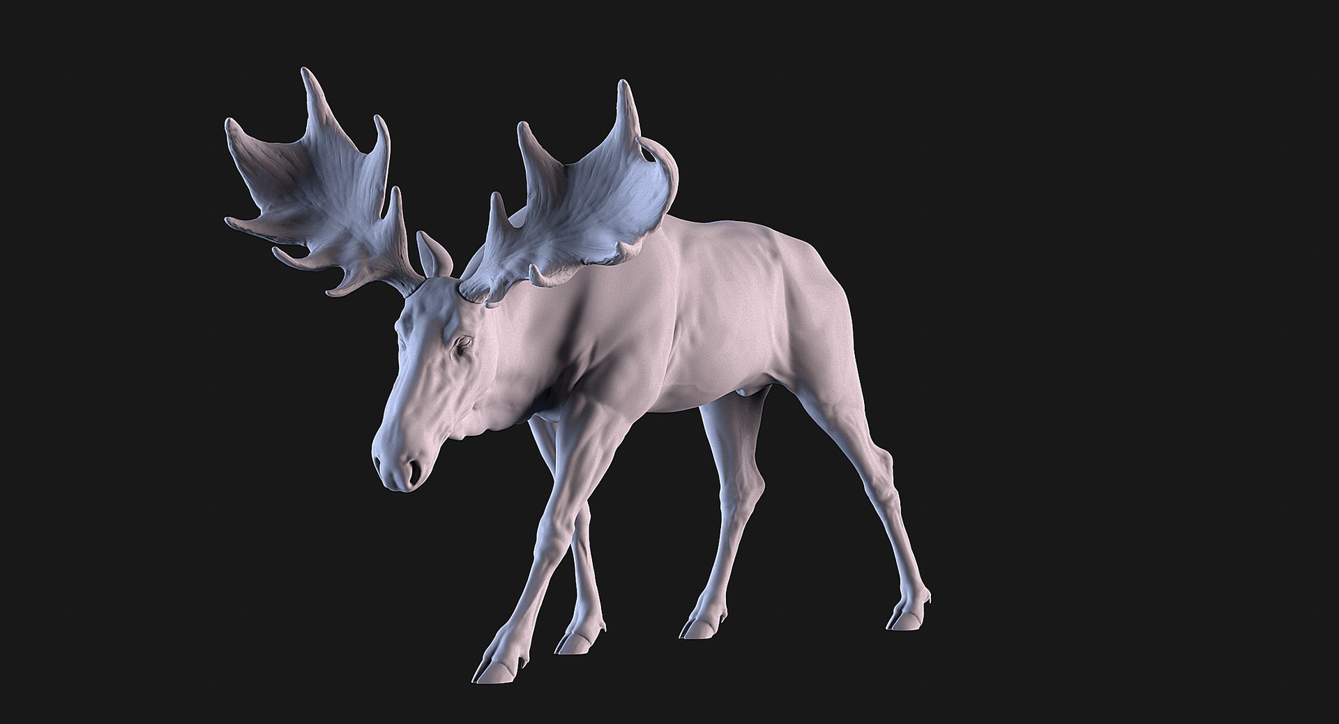 3D Moose Model - TurboSquid 2398993