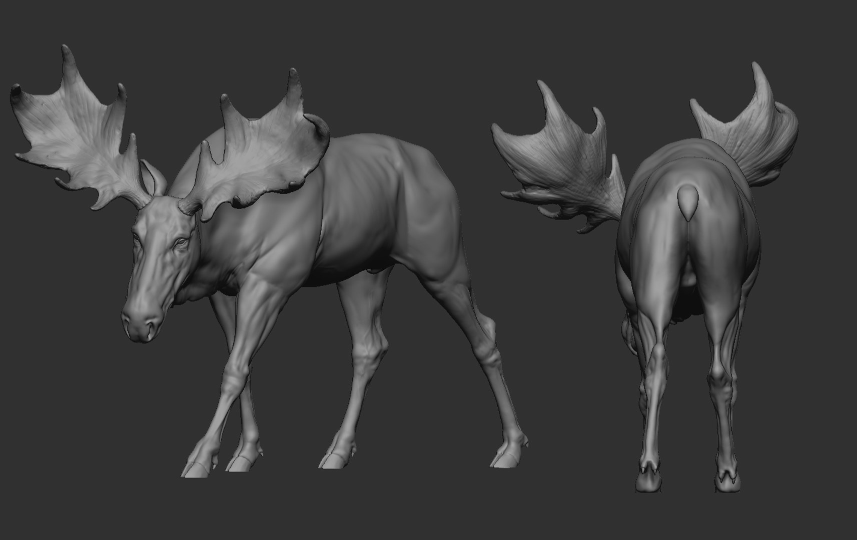 3D Moose Model - TurboSquid 2398993