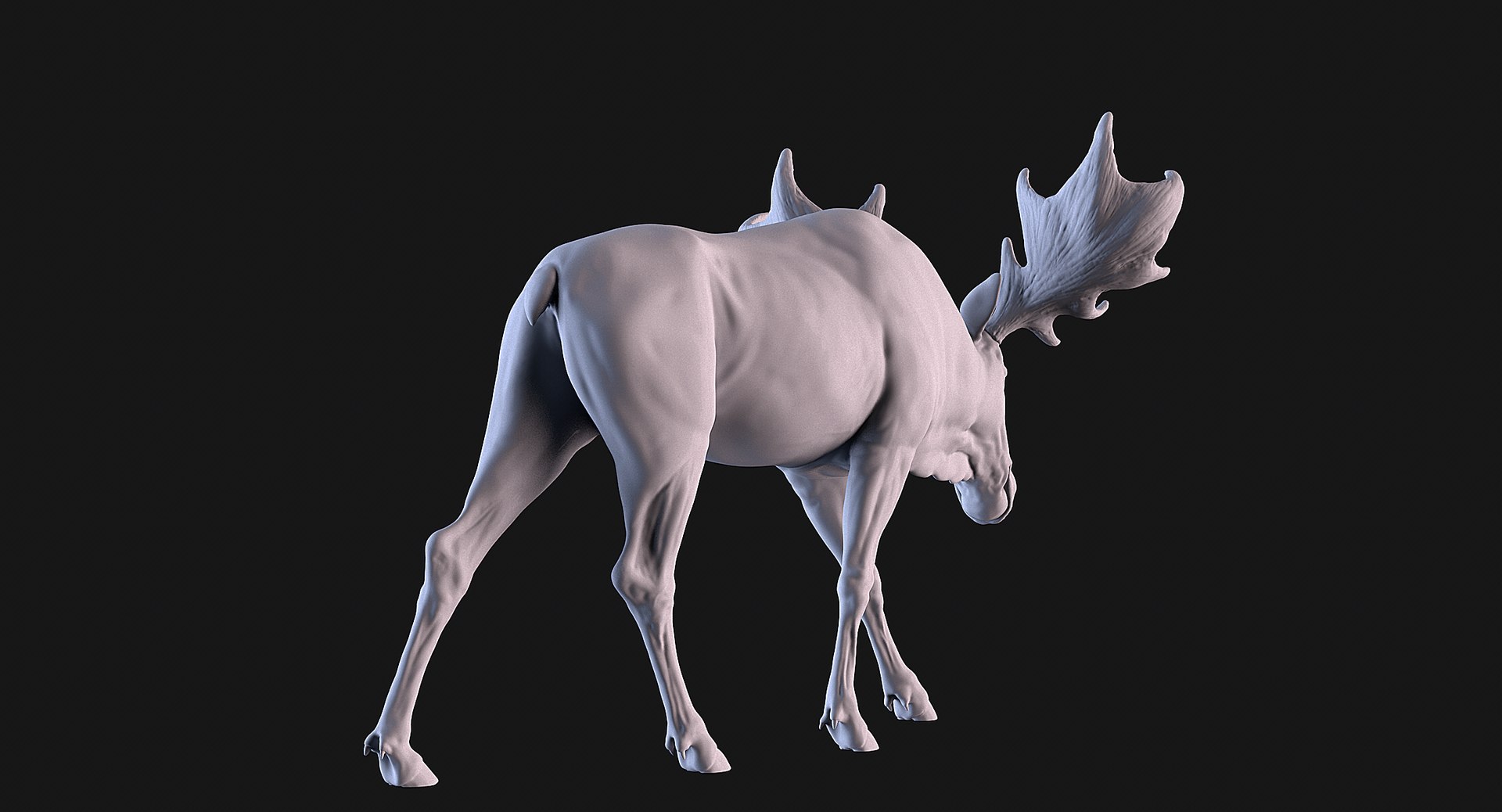 3D Moose Model - TurboSquid 2398993