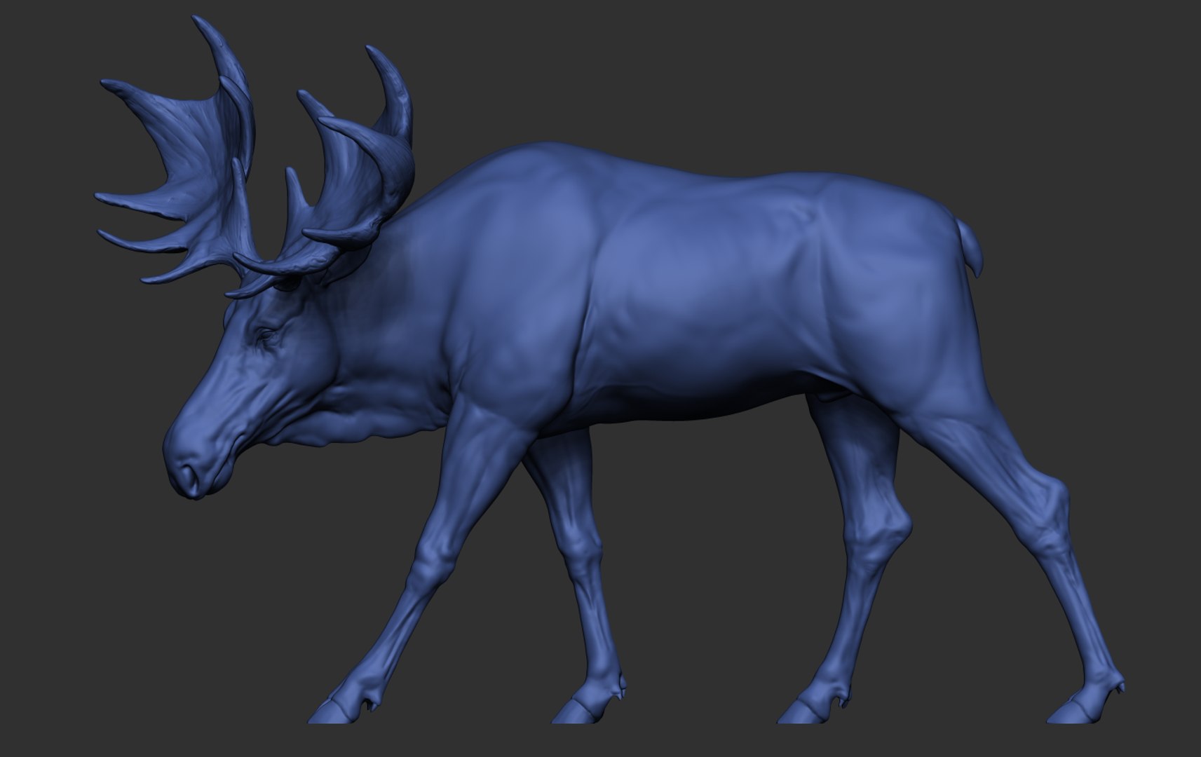 3D Moose Model - TurboSquid 2398993