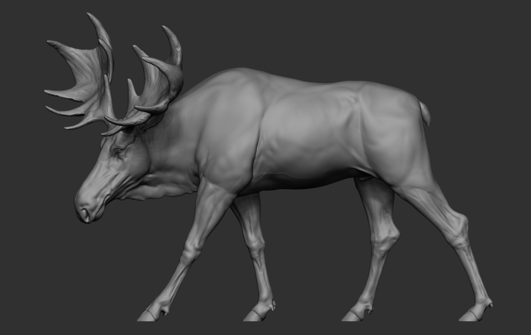 3D Moose Model - TurboSquid 2398993