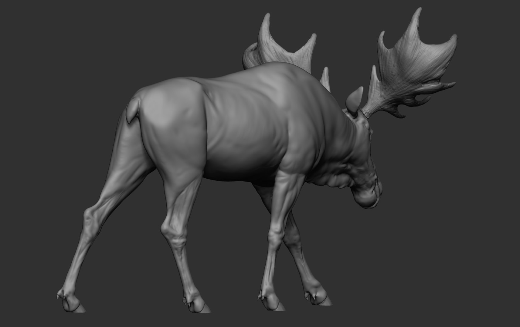 3D Moose Model - TurboSquid 2398993