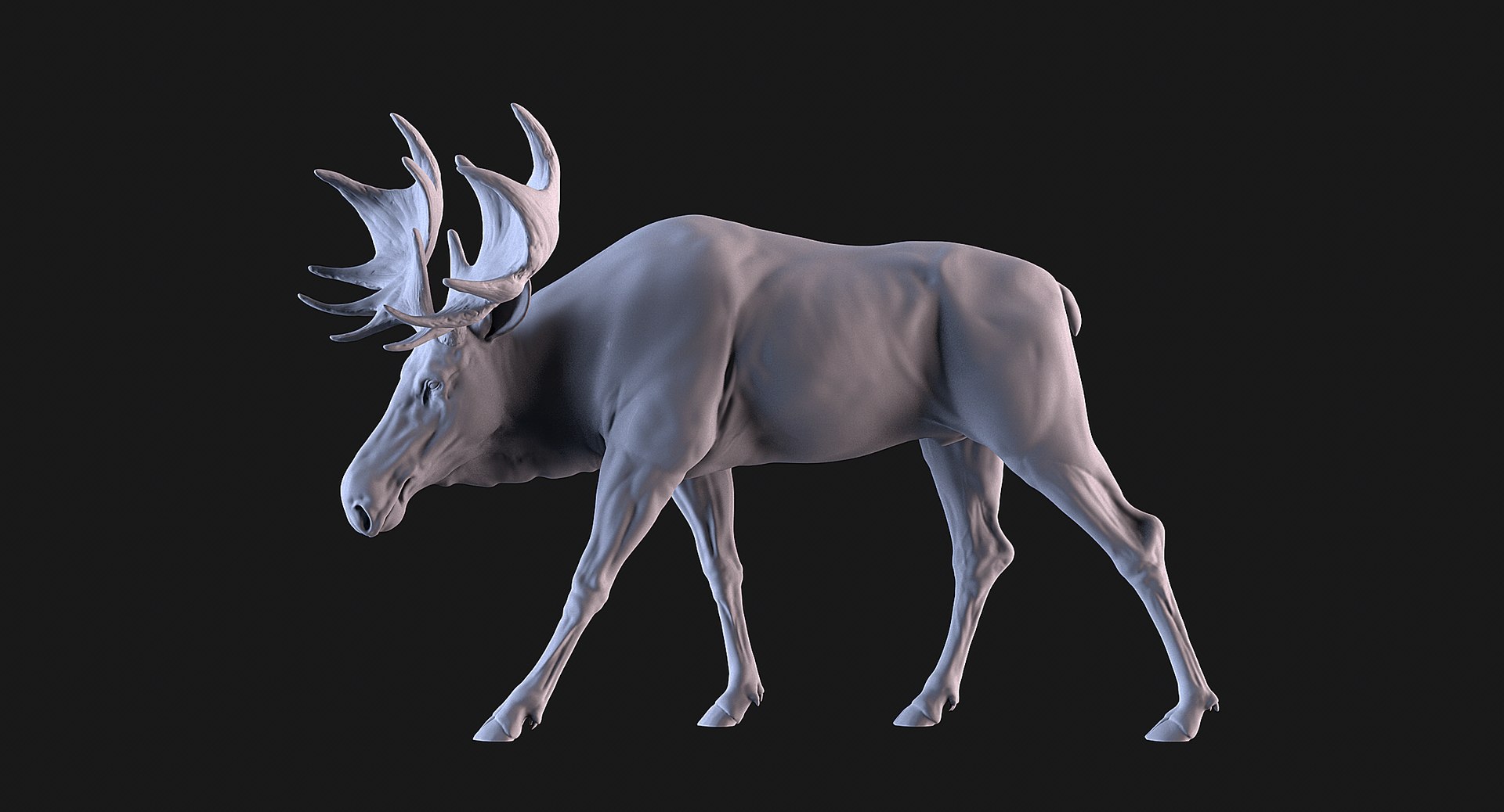 3D Moose Model - TurboSquid 2398993