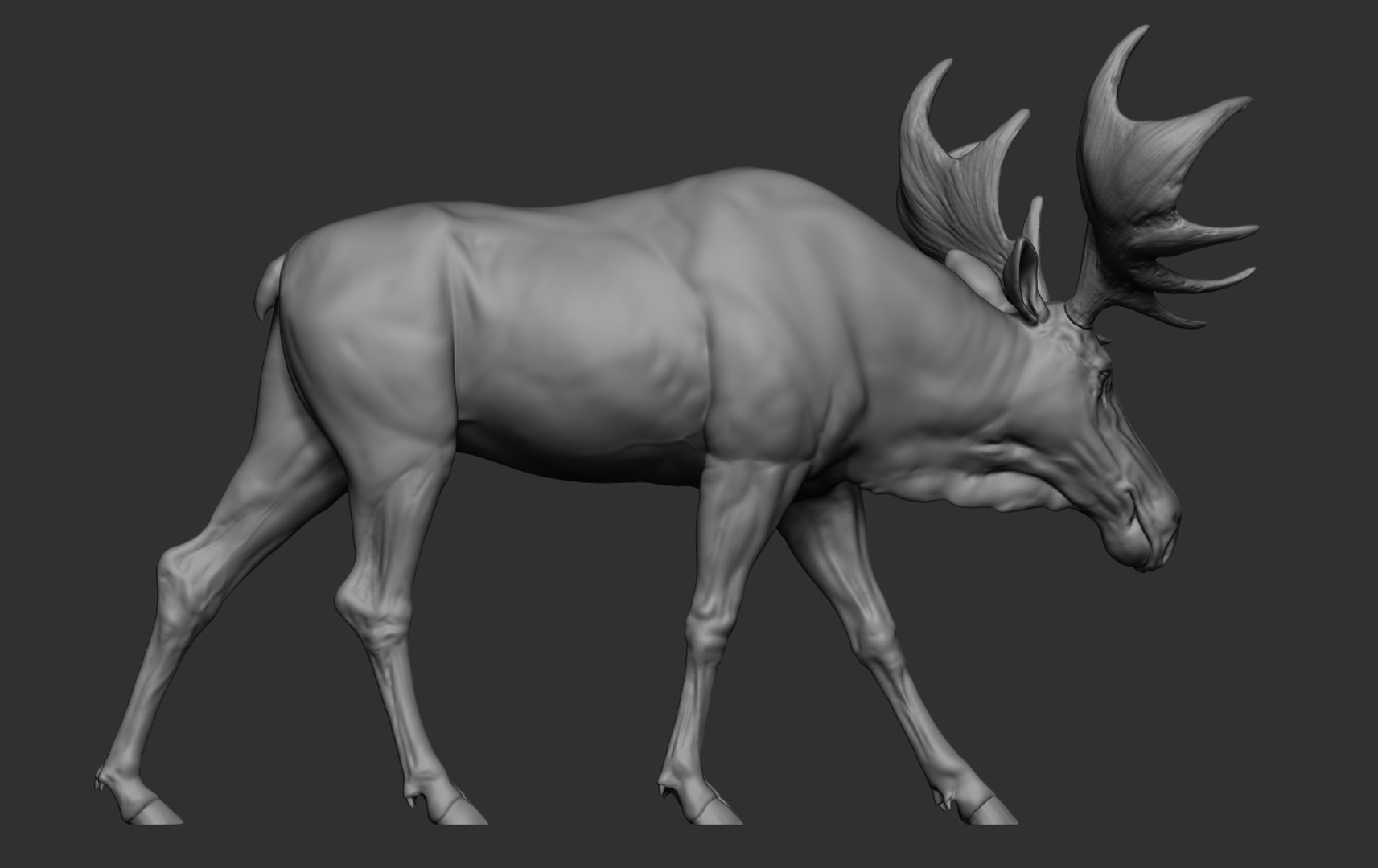 3D Moose Model - TurboSquid 2398993