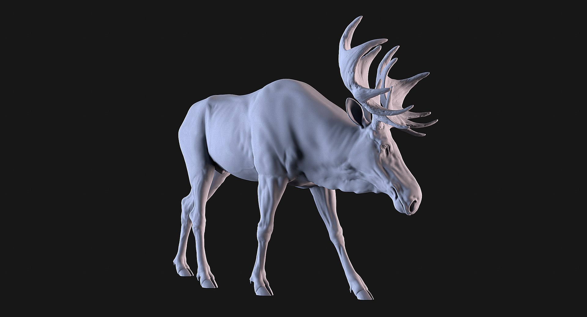 3D Moose Model - TurboSquid 2398993