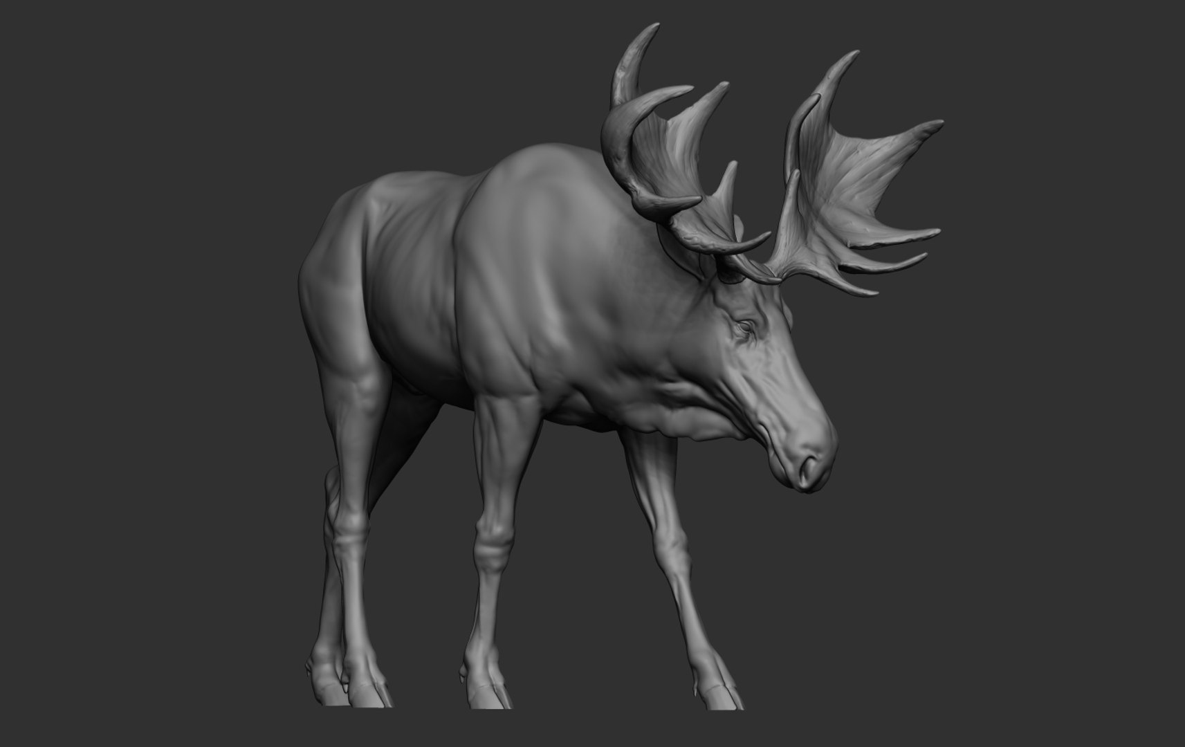 3D Moose Model - TurboSquid 2398993