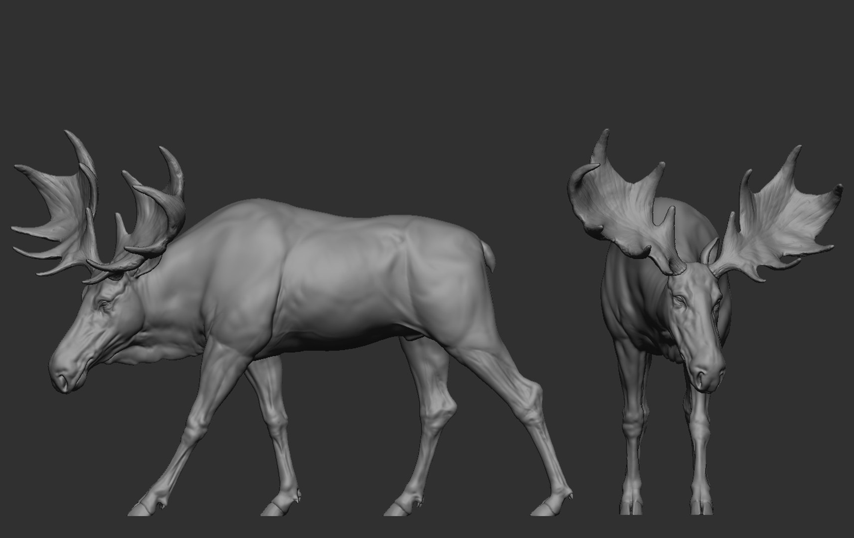 3D Moose Model - TurboSquid 2398993
