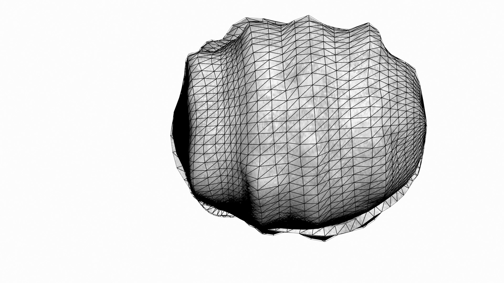 3D Giant Clam - TurboSquid 1929591