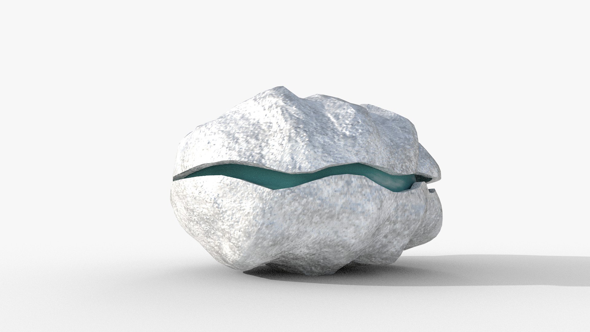 3D Giant Clam - TurboSquid 1929591