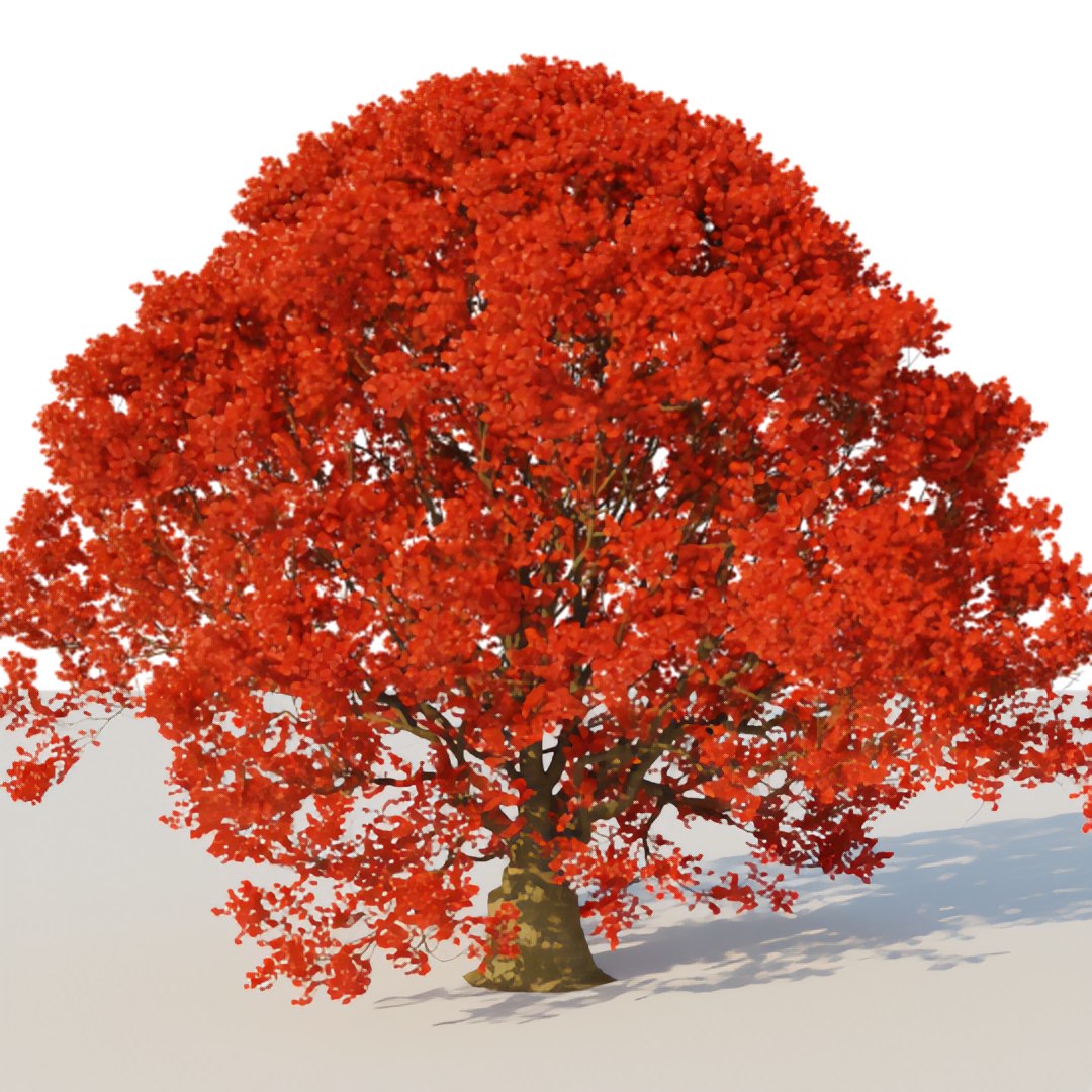 6 Trees Pack Green Maple 3D Model - TurboSquid 1659039