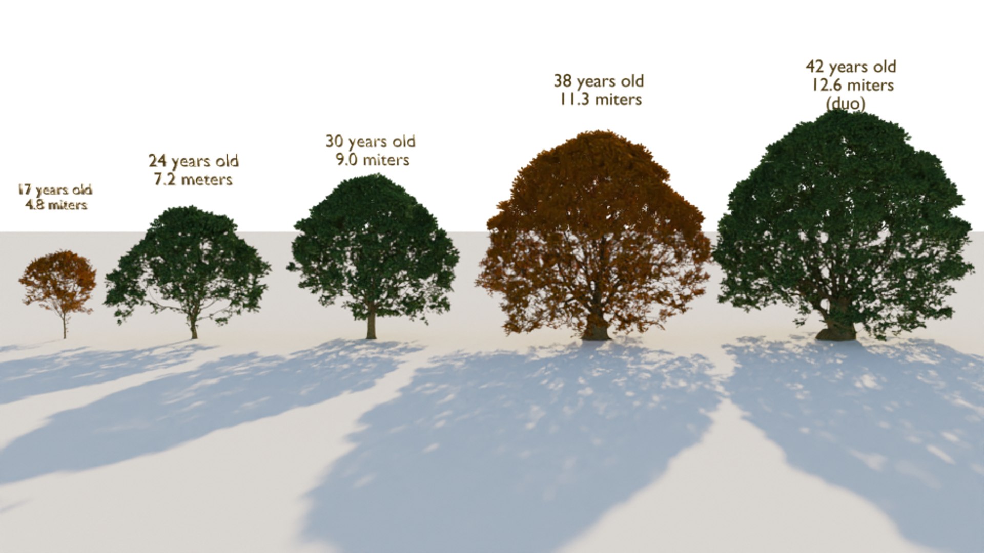 6 Trees Pack Green Maple 3D Model - TurboSquid 1659039