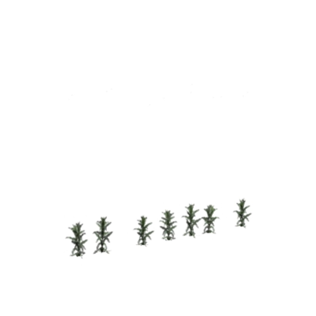 crops growth corn wheat 3d model