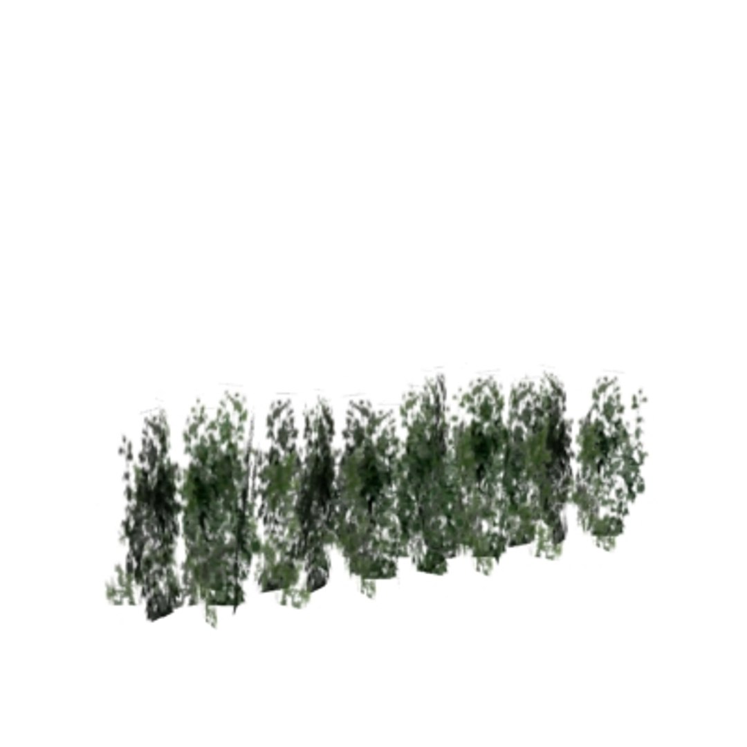 crops growth corn wheat 3d model