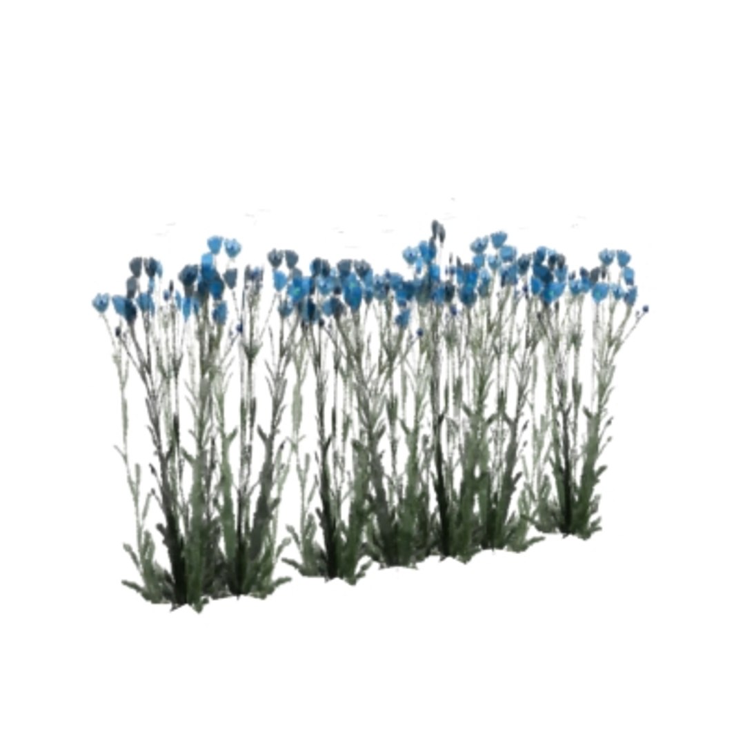 crops growth corn wheat 3d model