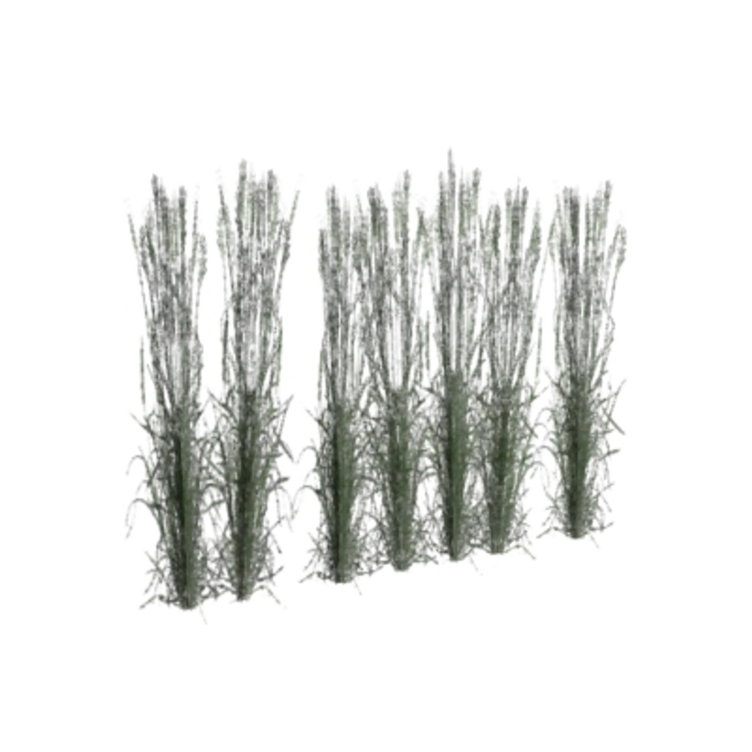 crops growth corn wheat 3d model