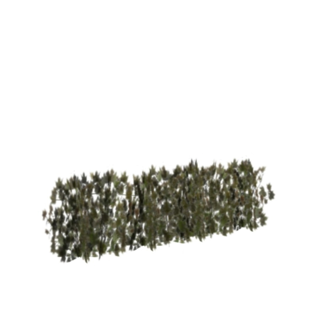 crops growth corn wheat 3d model