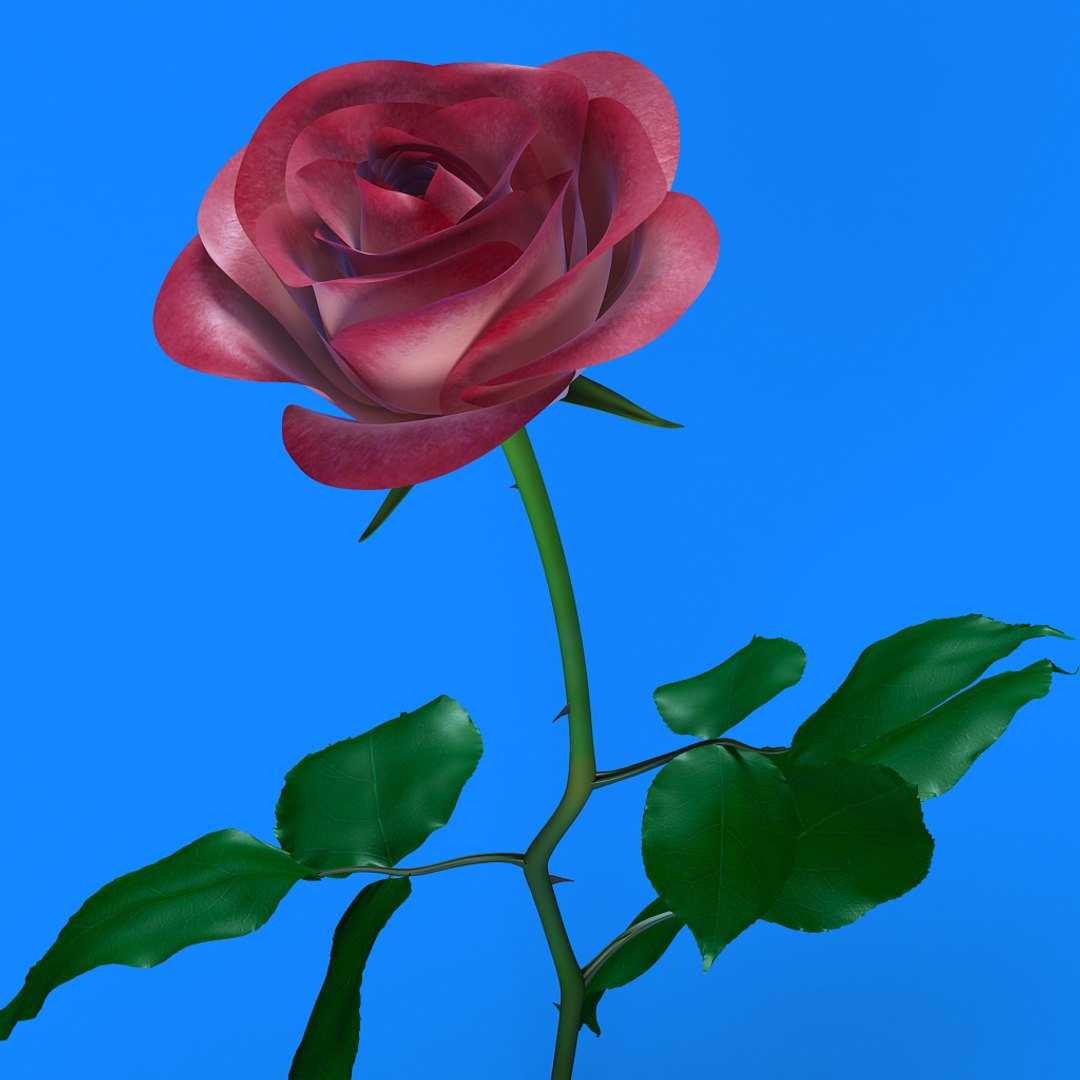 Rose flower 3D model - TurboSquid 581186