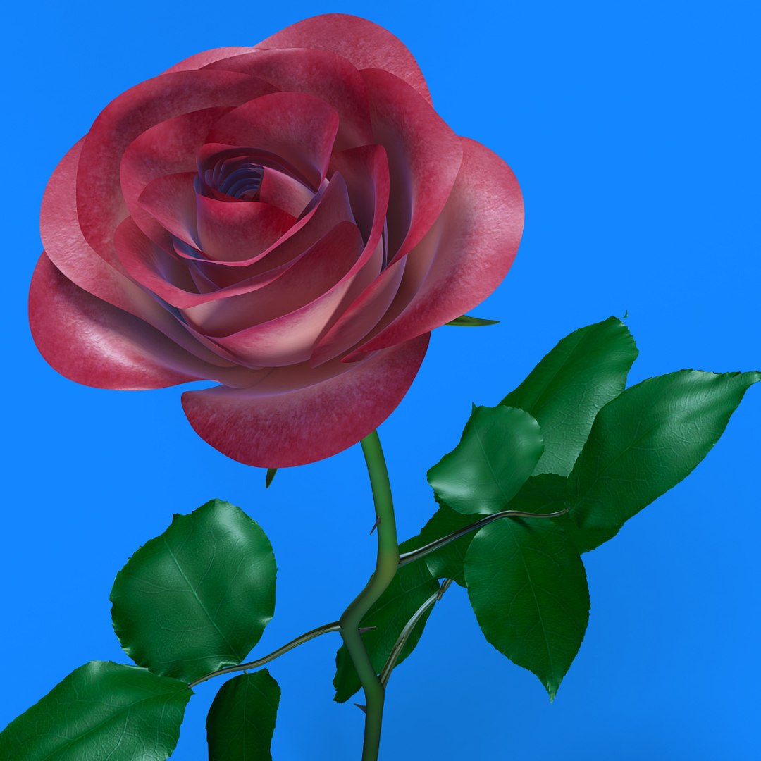 Rose flower 3D model - TurboSquid 581186