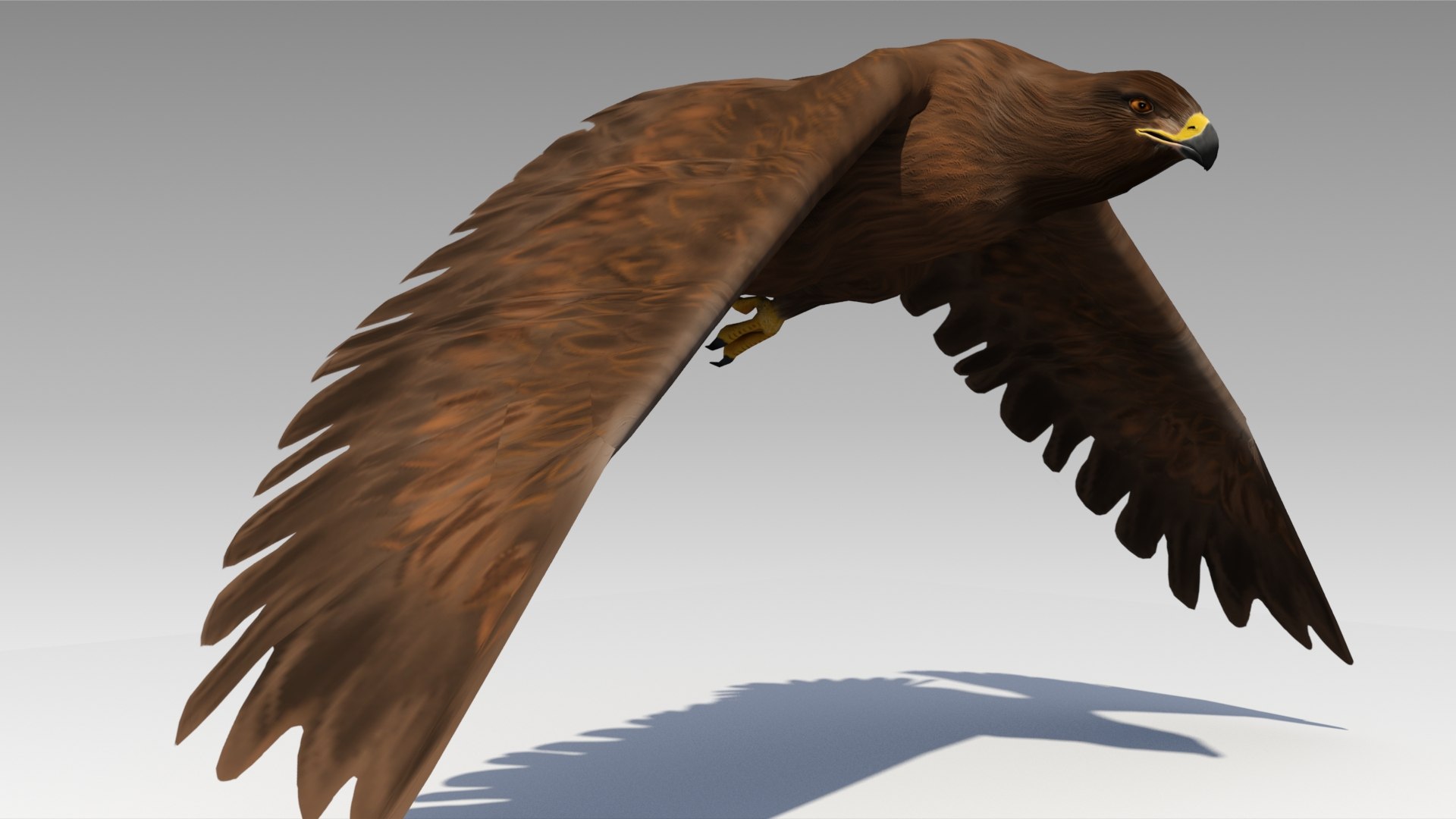 3d Model Golden Eagle Animations