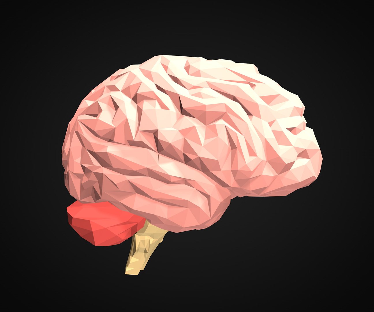 Low Poly Brain 3D Model - TurboSquid 1784943