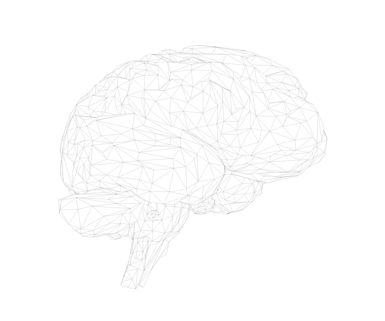 Low Poly Brain 3D Model - TurboSquid 1784943