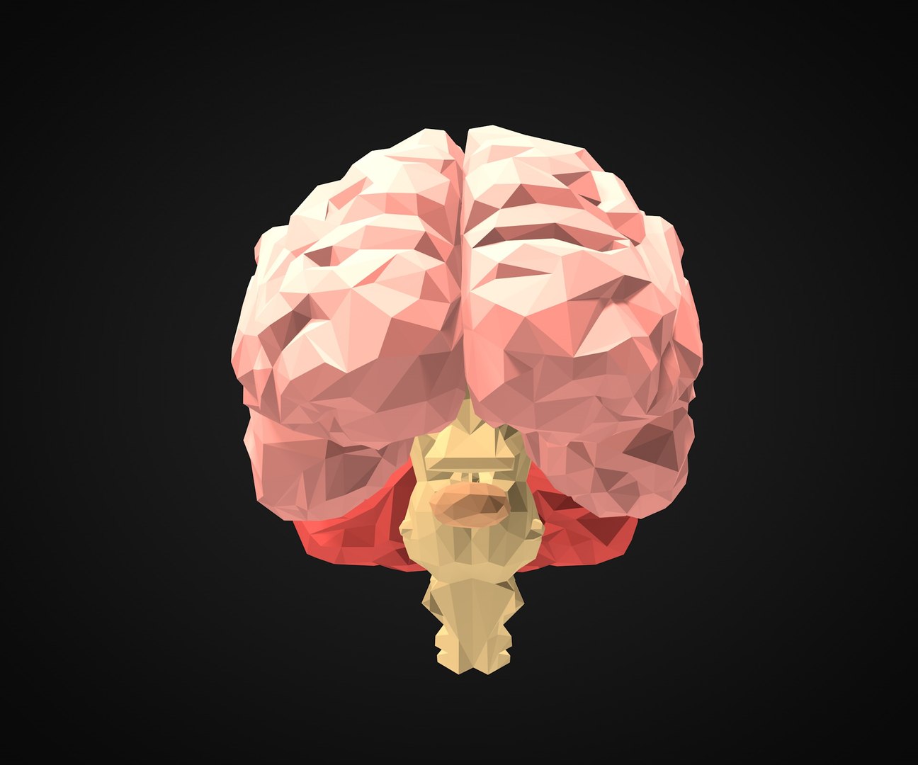Low Poly Brain 3D Model - TurboSquid 1784943