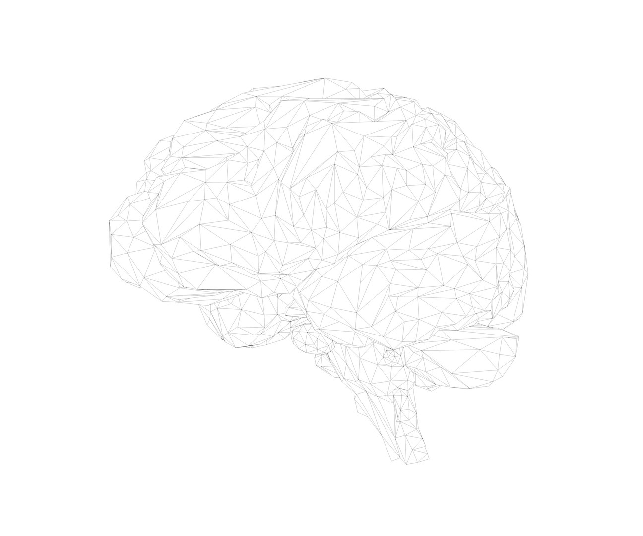 Low Poly Brain 3D Model - TurboSquid 1784943