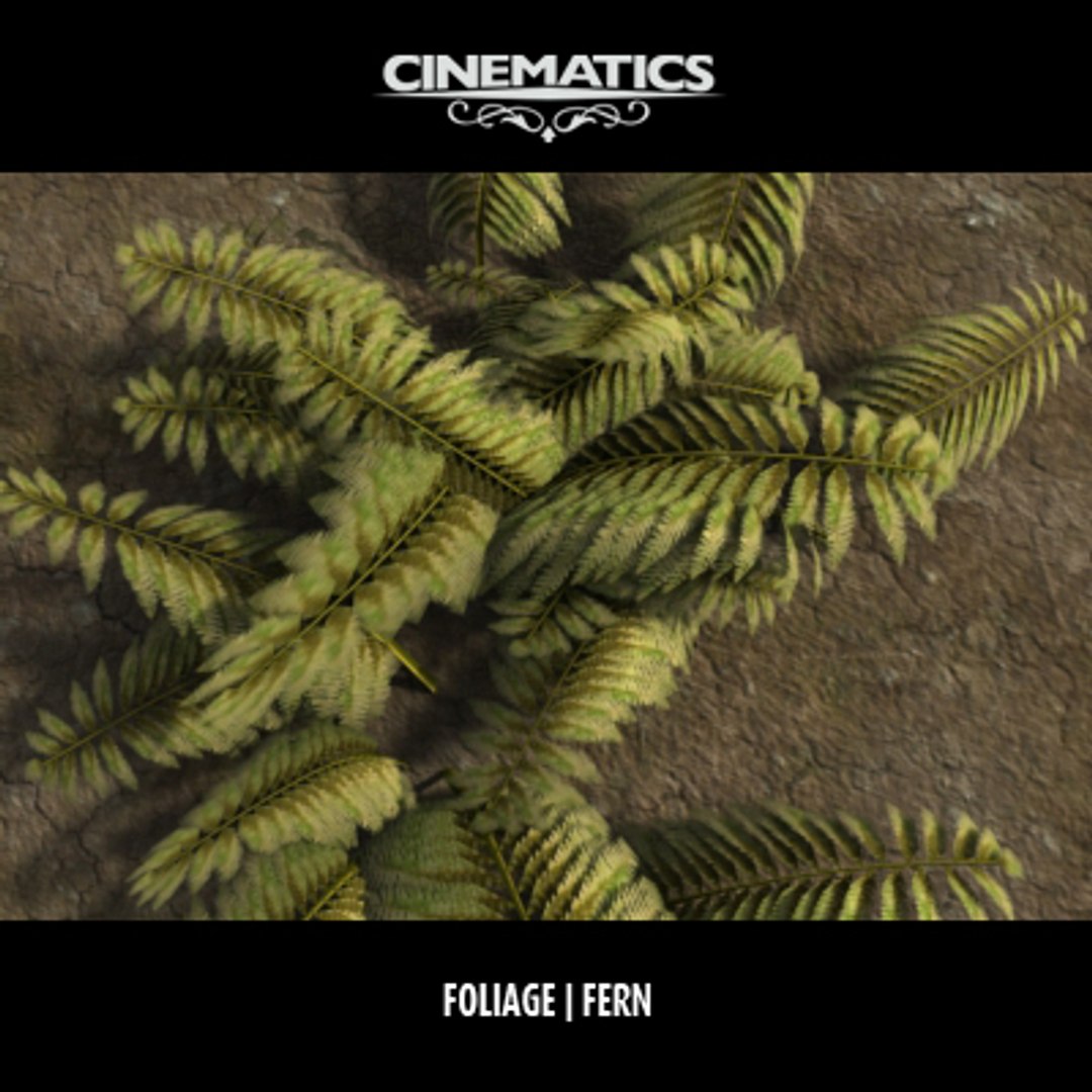 3d Model Fern