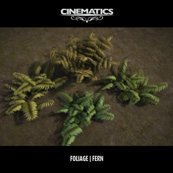 3d model fern