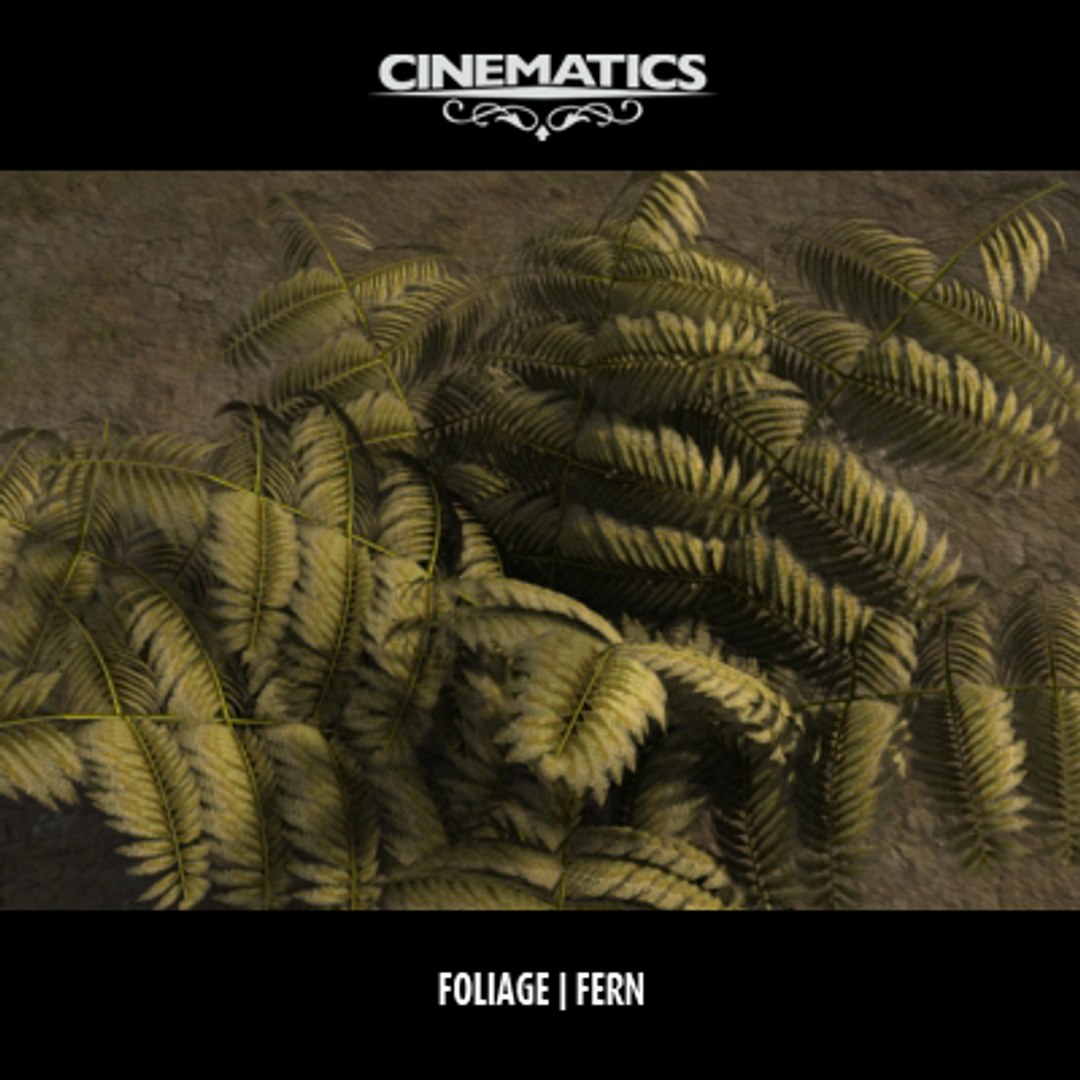 3d Model Fern