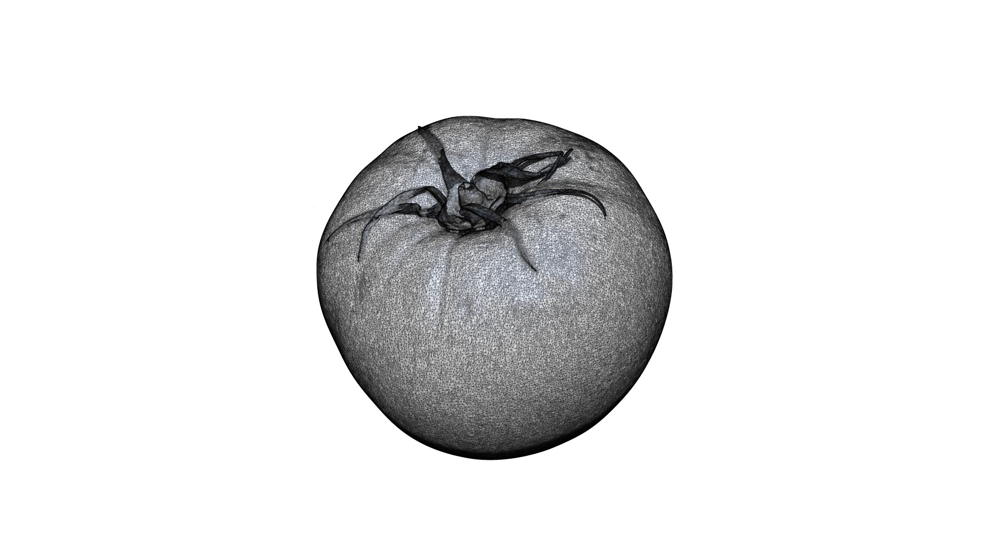 Tomato 3D CT Scan Model Decimate 30 Percent 3D - TurboSquid 1908516