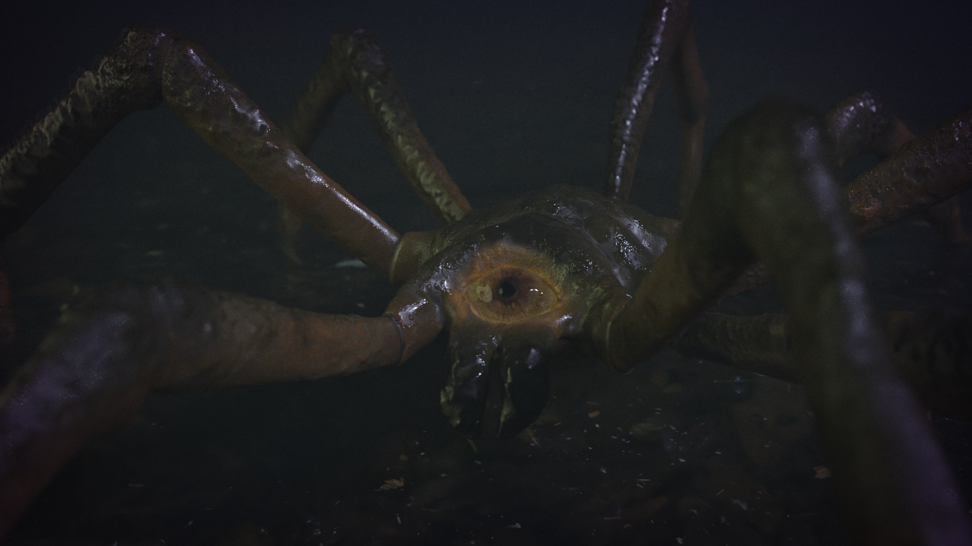 Creature Swamp 3D Model - TurboSquid 1590664