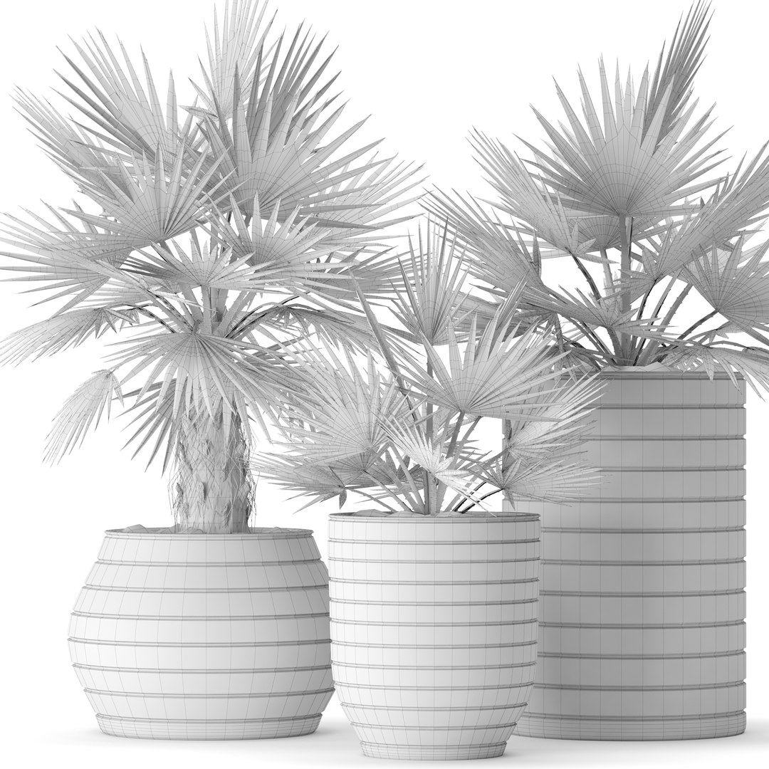 3d Palm Model