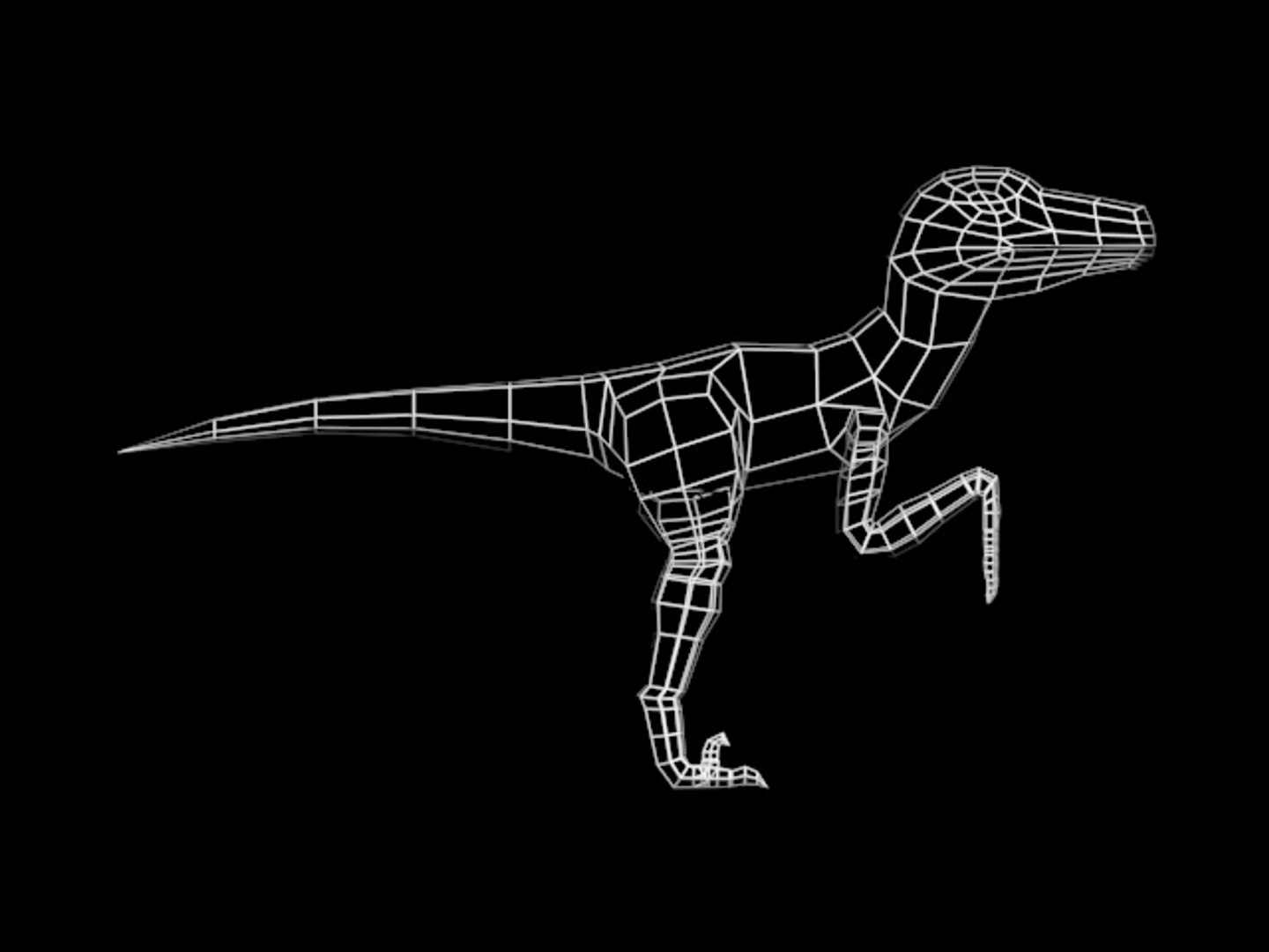 Raptor 3d Model