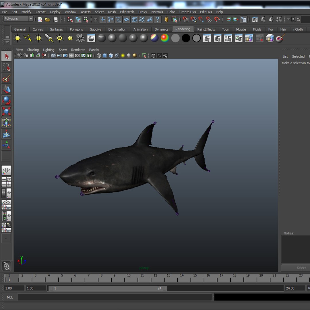 3d Shark Rigged