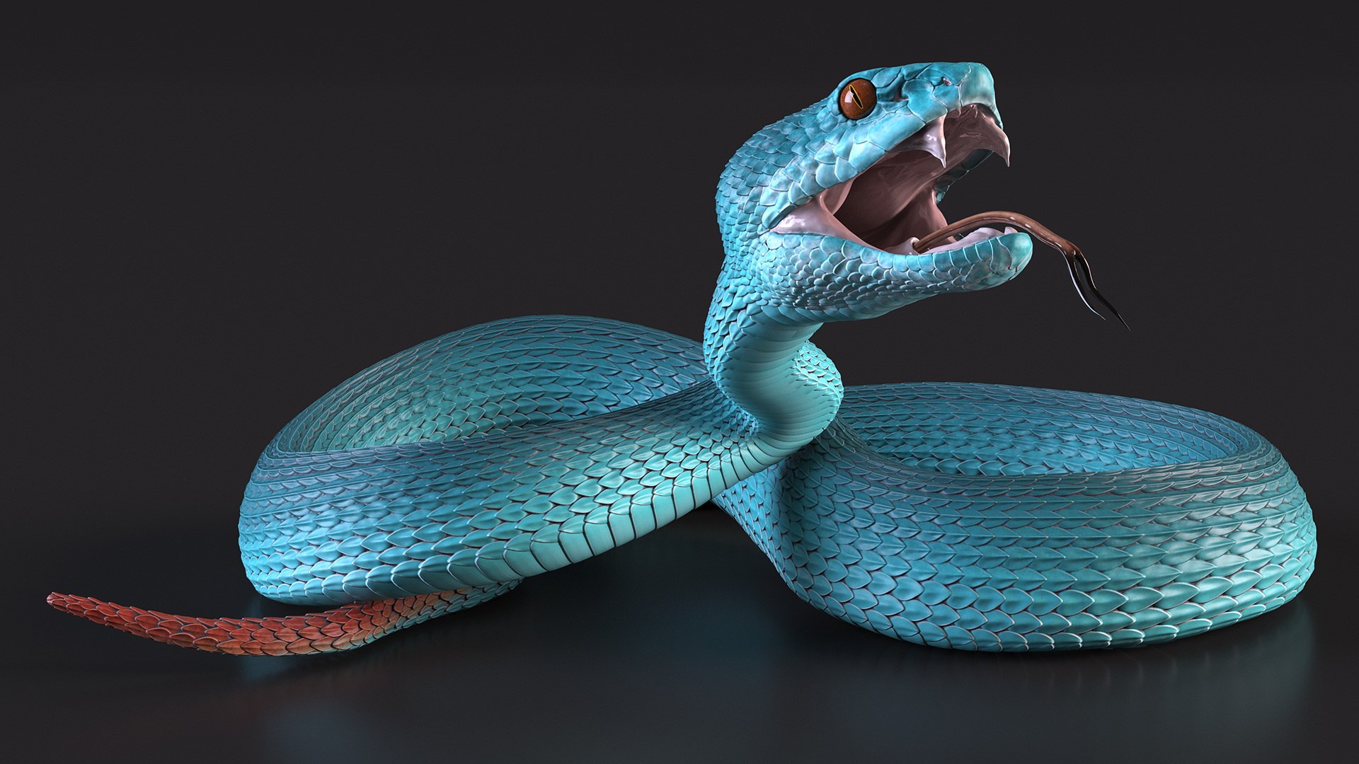 3D Viper Blue Trimeresurus Rigged - TurboSquid 2105594