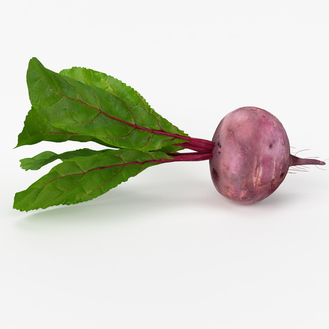 Realistic Beetroot Real Vegetables 3d Model