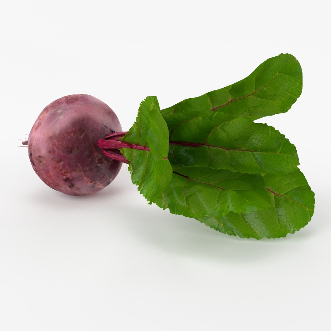 Realistic Beetroot Real Vegetables 3d Model