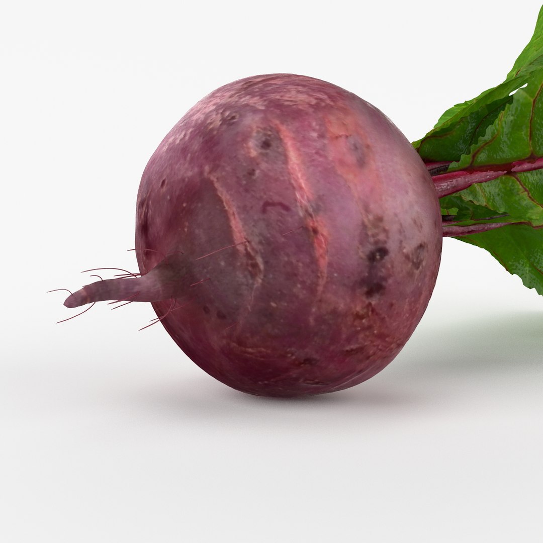 Realistic Beetroot Real Vegetables 3d Model