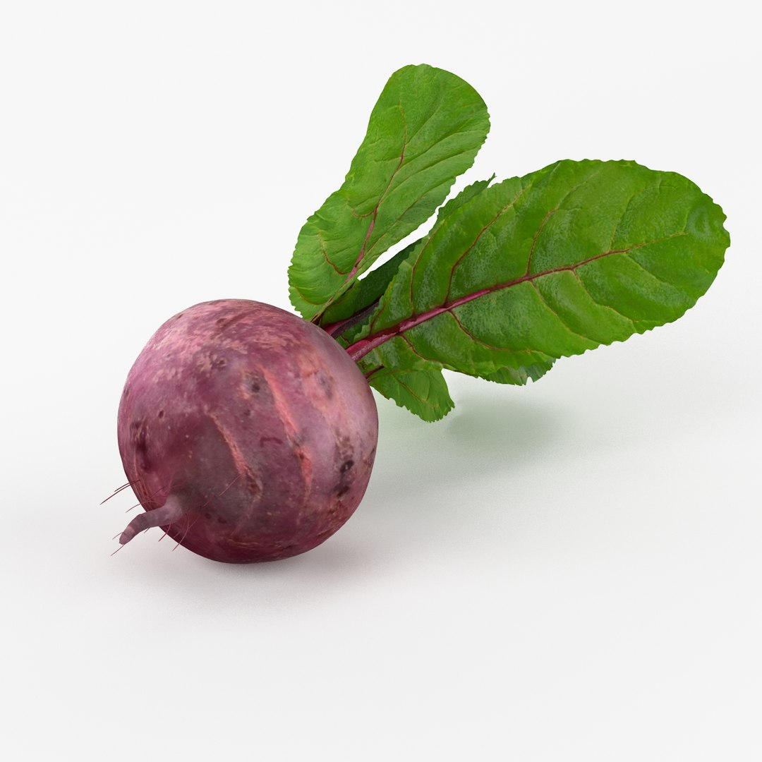 Realistic Beetroot Real Vegetables 3d Model