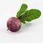 Realistic Beetroot Real Vegetables 3d Model