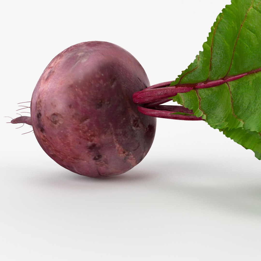 Realistic Beetroot Real Vegetables 3d Model