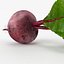 Realistic Beetroot Real Vegetables 3d Model