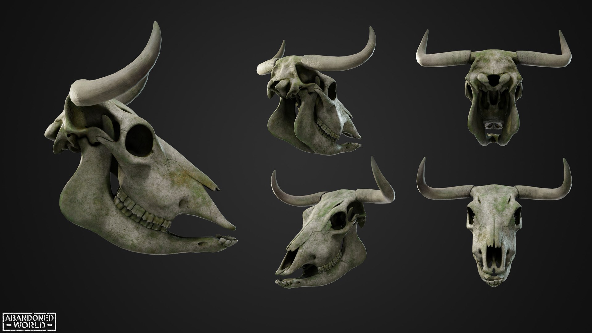 3D Cow Skull - TurboSquid 2386892
