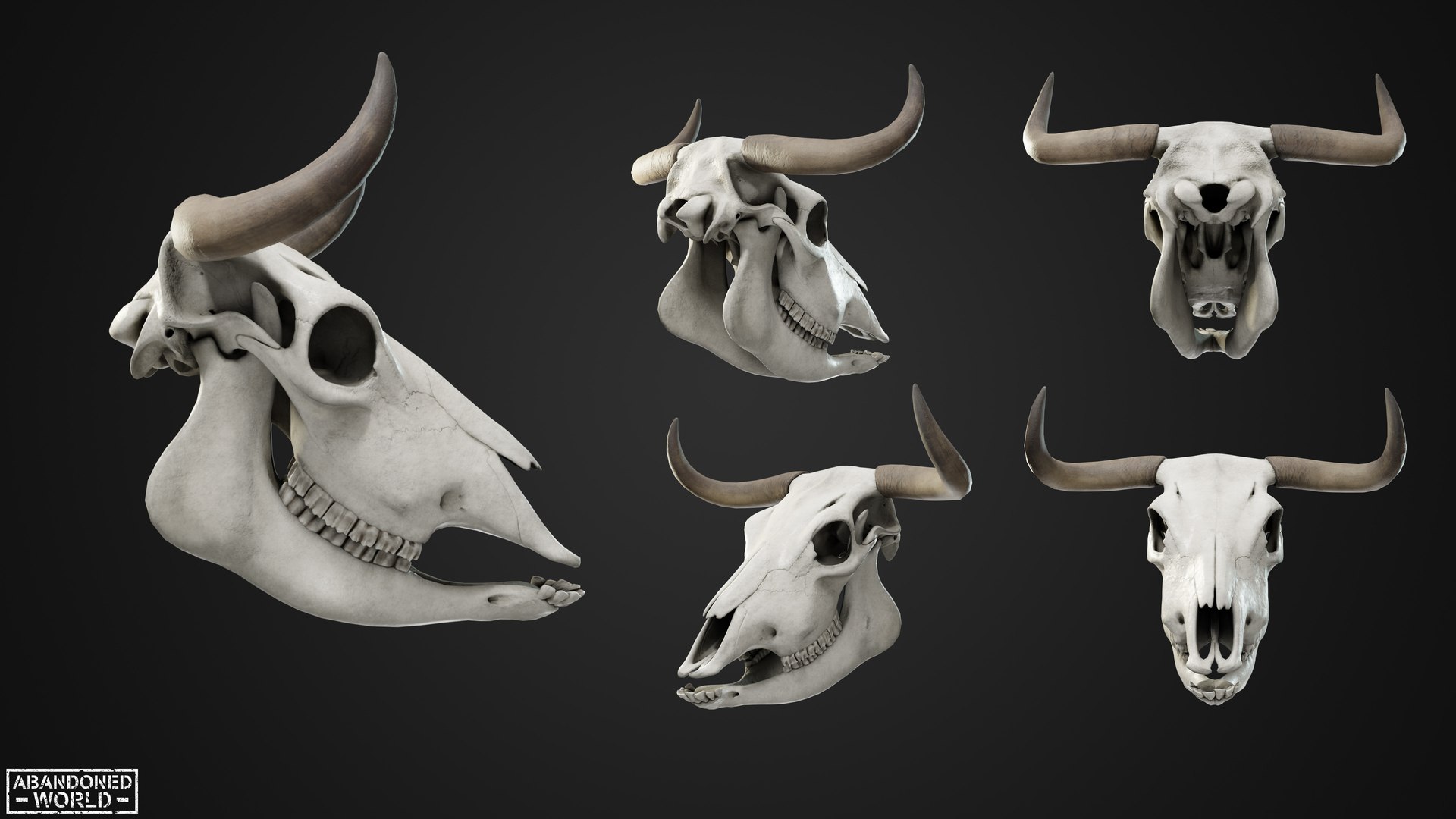 3D Cow Skull - TurboSquid 2386892