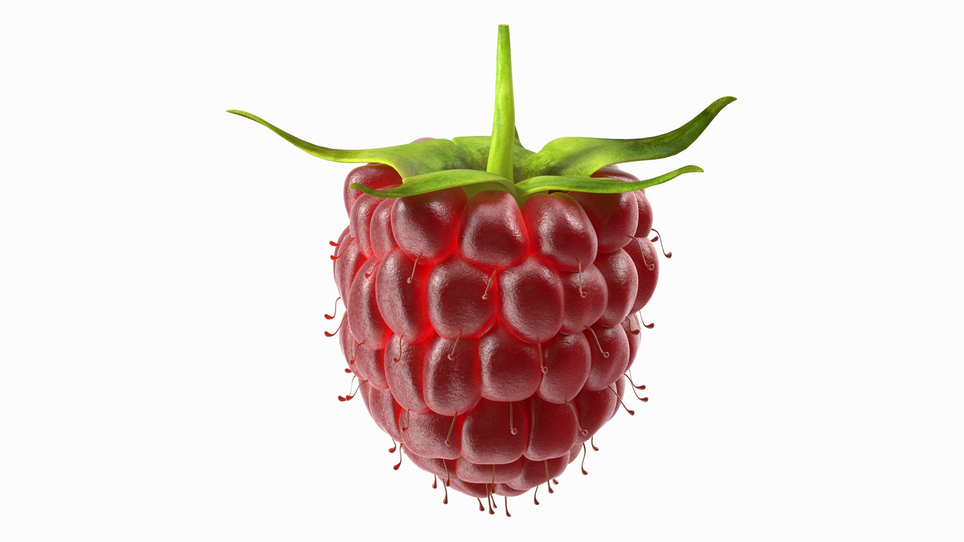 Red Raspberry 3D Model - TurboSquid 2130994