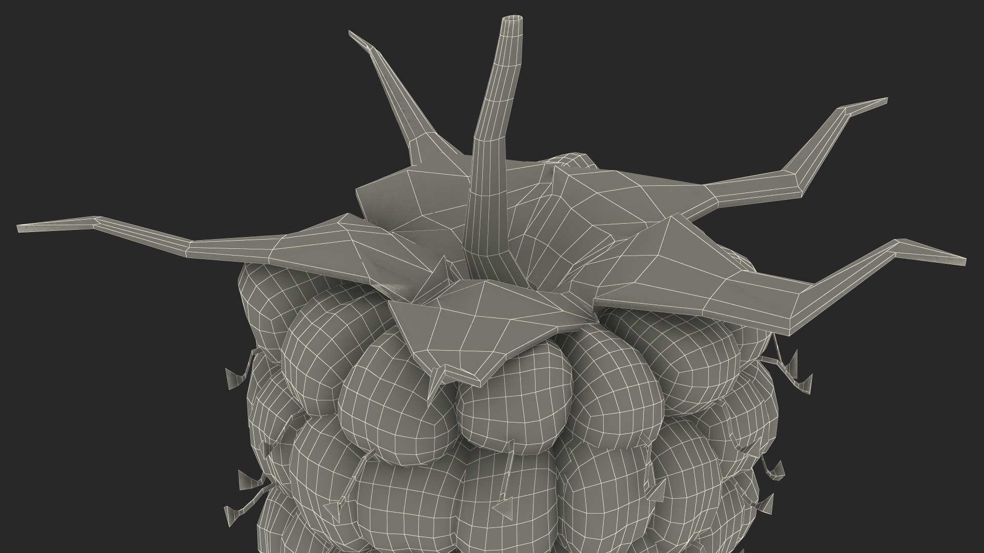 Red Raspberry 3D Model - TurboSquid 2130994