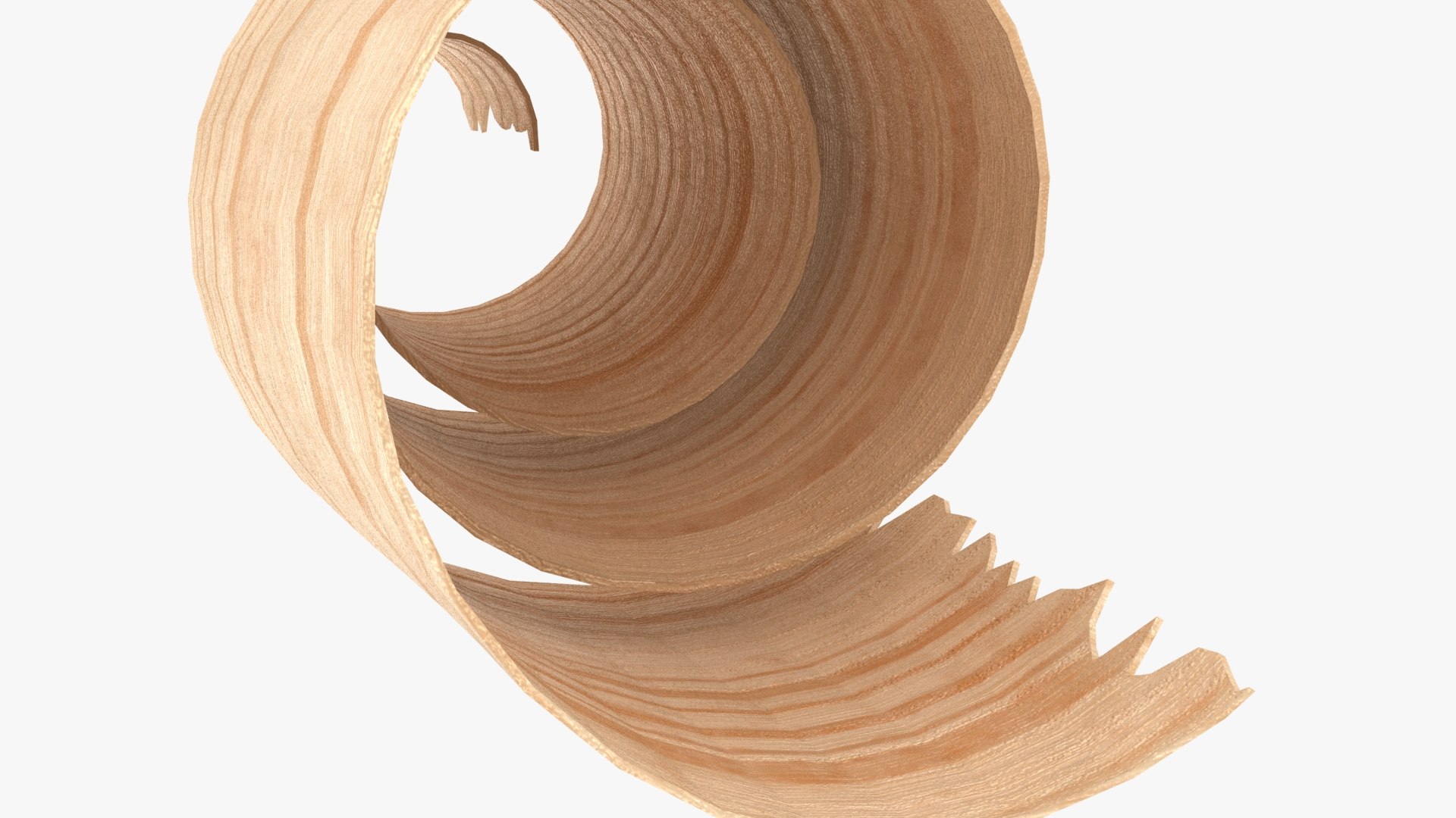 Wood Shavings 02 3D Model - TurboSquid 2115595