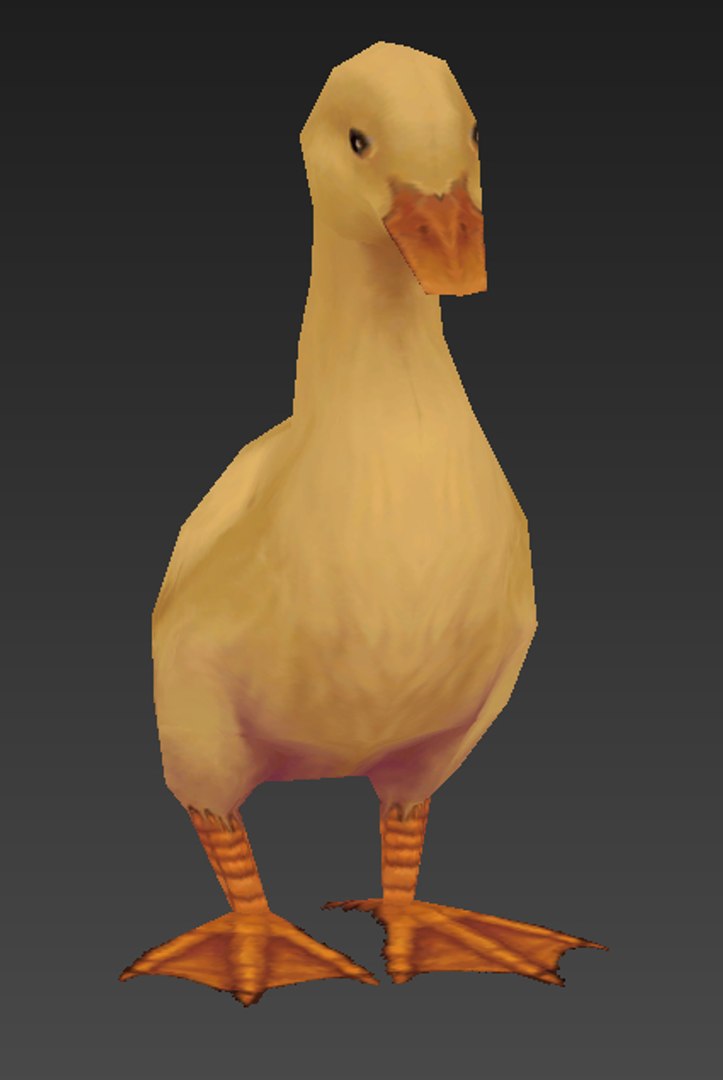3D Duck Model - TurboSquid 1608252