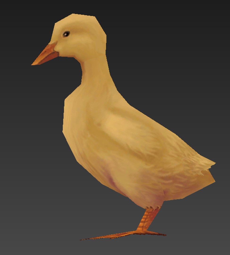 3D Duck Model - TurboSquid 1608252